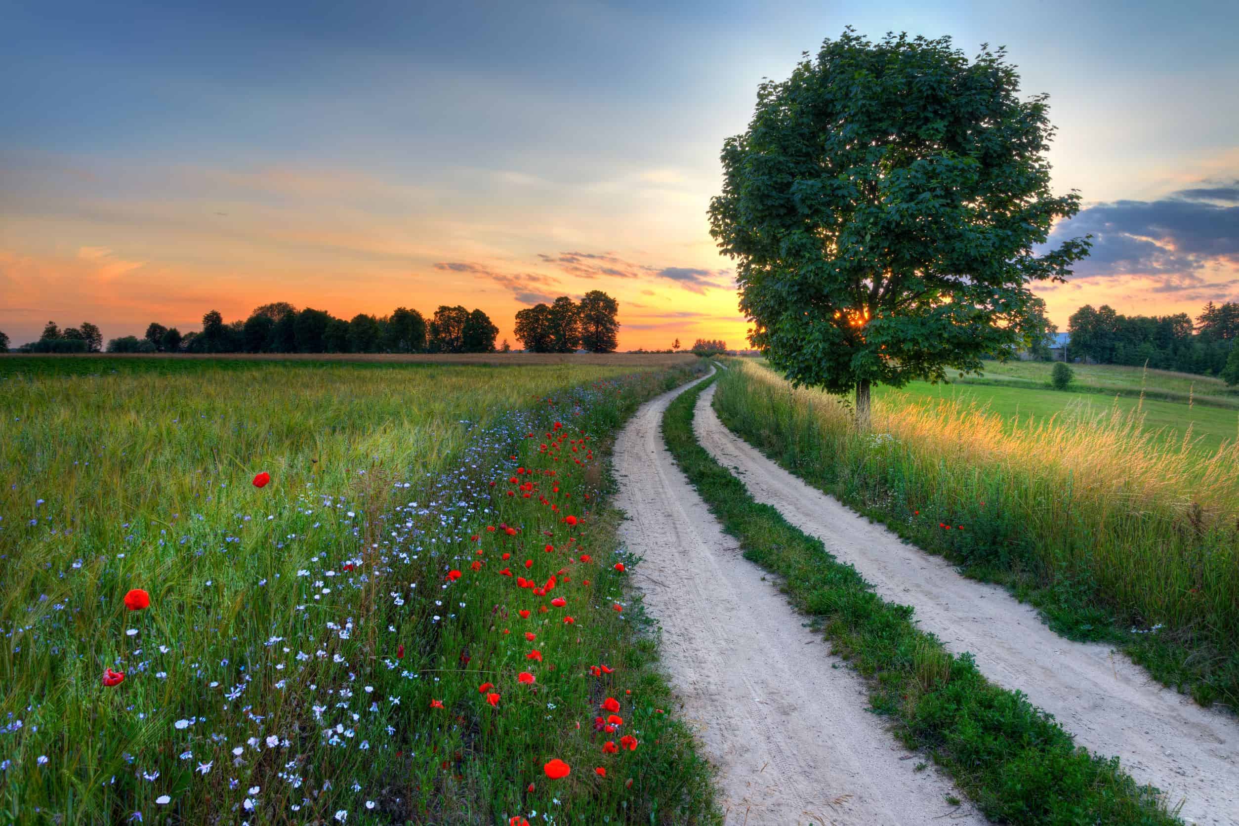Thinking of Visiting Poland? Just do it! - RealPoland Tours